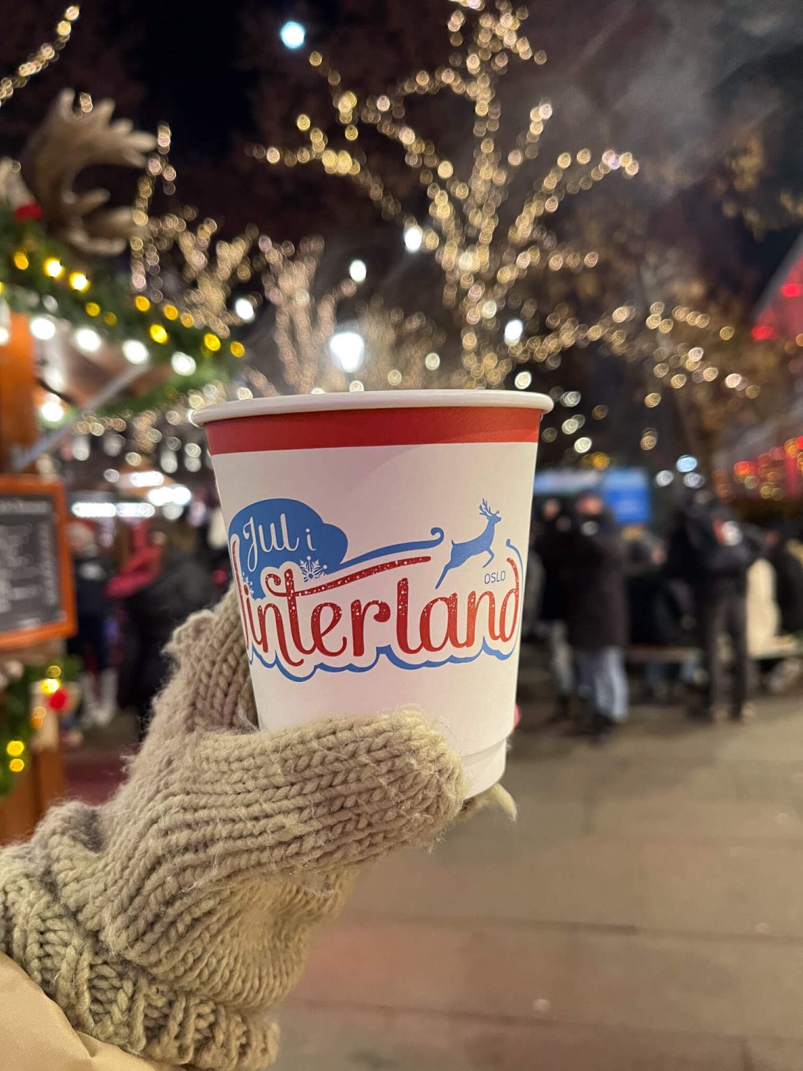 Oslo Christmas Markets: What you Need to Know Before Visiting!